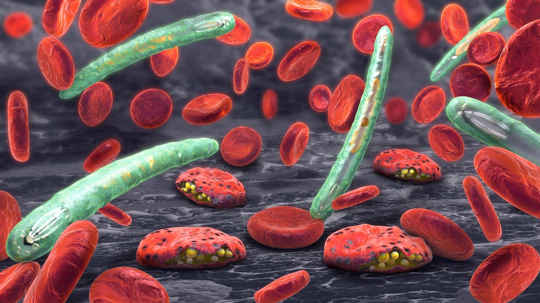 Fast-Acting Malaria Drug Shows Promise in First-in-Human Study | Inside ...